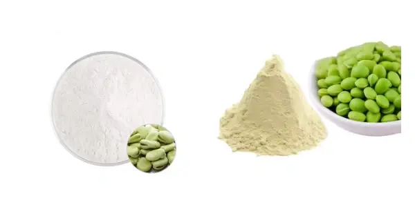 Wholesale Bulk Fava Bean Protein Powder Manufacturers,Suppliers,Factory ...